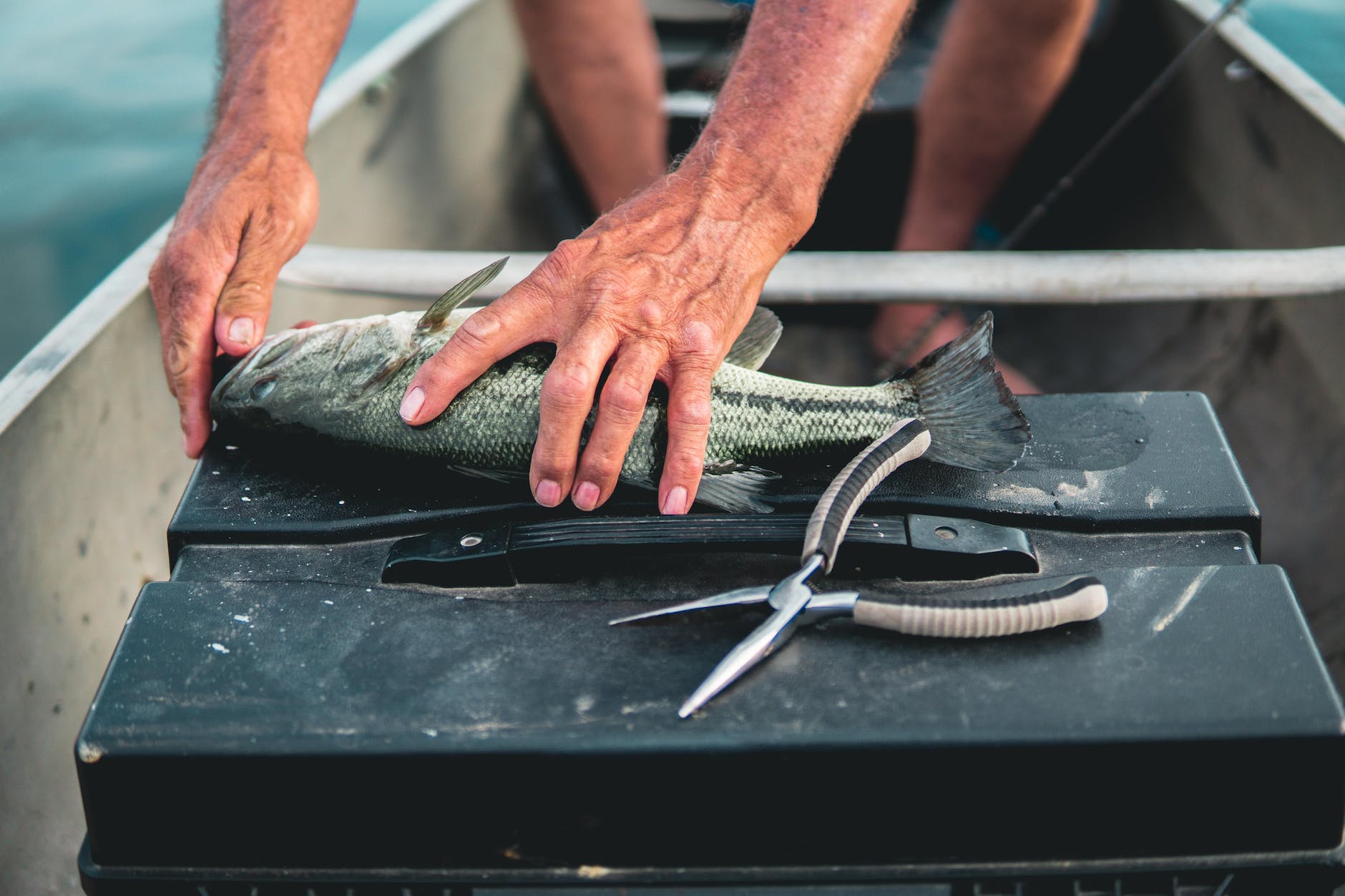 Overfishing, Oceanic Depletion, Anthropocentrism, and the Future of ...
